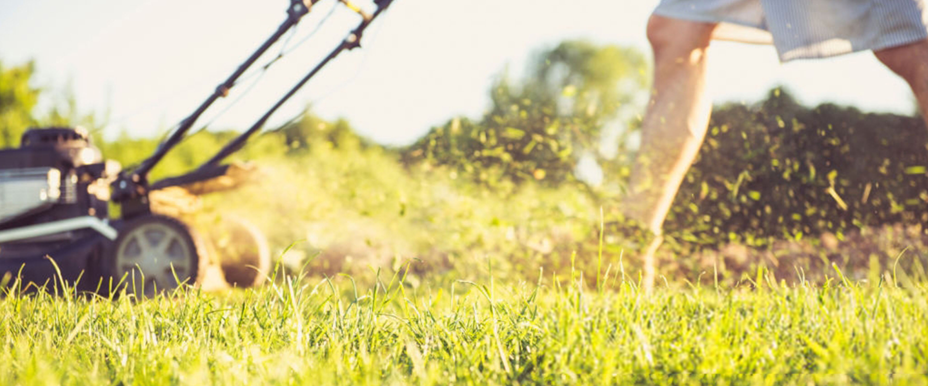 Elektroshop Wagner | Success Story | WeCG